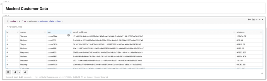 Fine-Grained Access Control in Databricks - Privacera