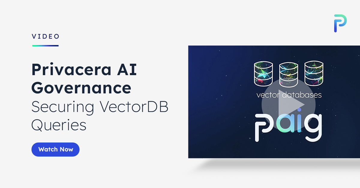 Privacera AI Governance – Securing VectorDB Queries - Privacera